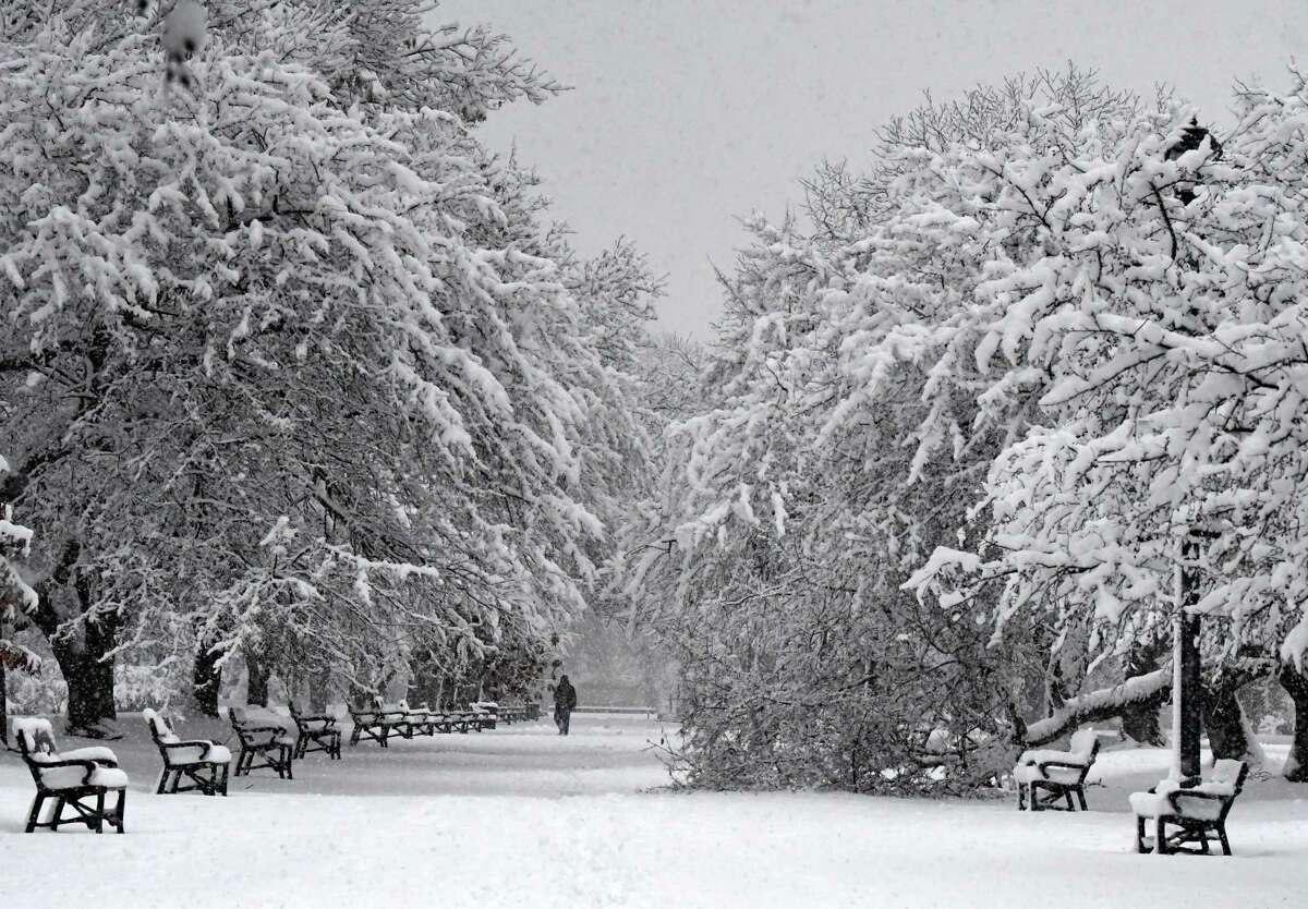 Heavy snow in Albany blamed for car crashes, power outages