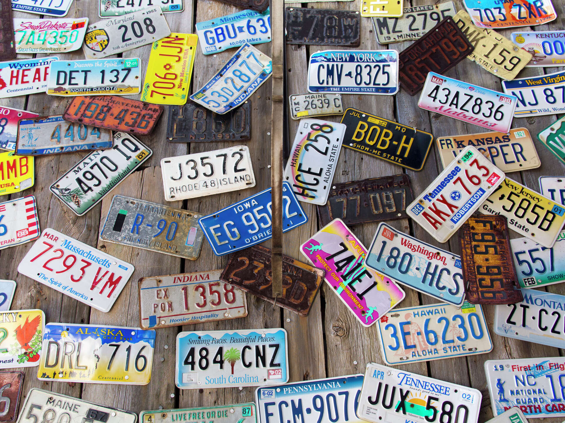 Texas DMV rejects pro-vegan license plate application