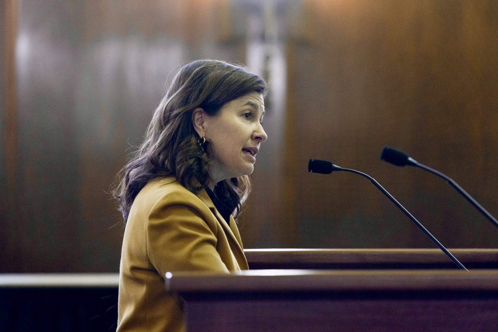 Mich Senator McDonald Rivet's Income Tax Credit bill heads to vote