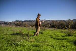 Jess Lander, Wine reporter - San Francisco Chronicle