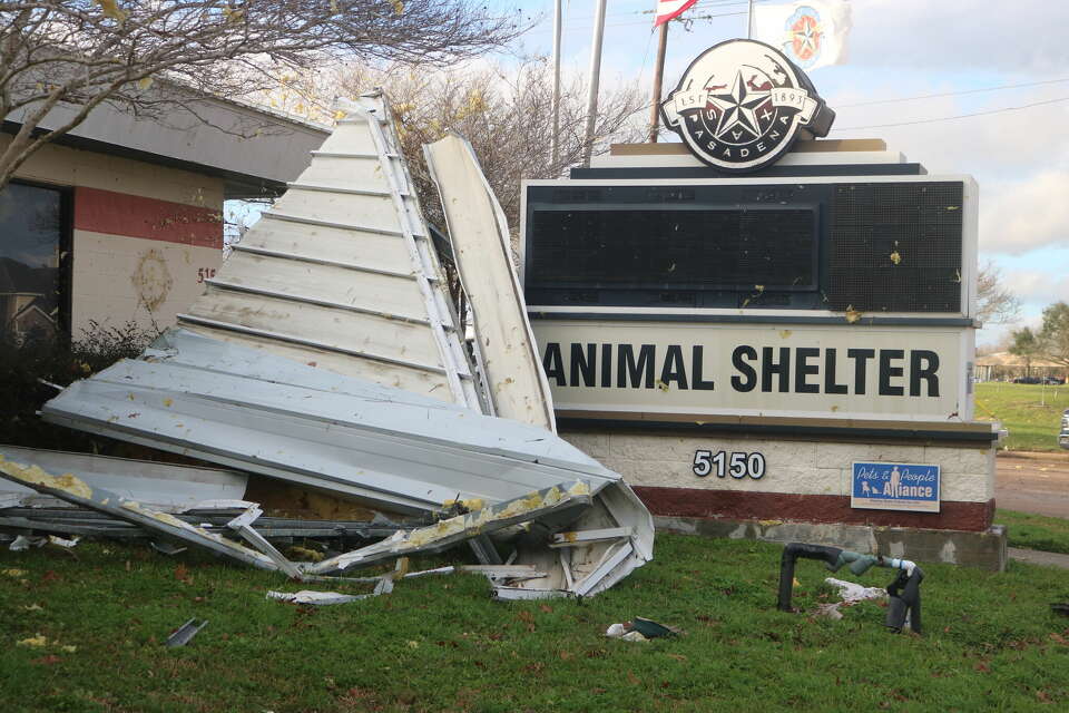 Pasadena Animal Shelter hit by tornado, animals need foster homes