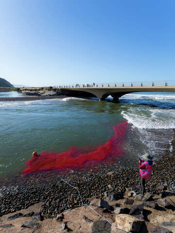 Why the Pacific Ocean turned pink off the Calif. coast