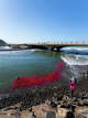 Why the Pacific Ocean turned pink off the Calif. coast
