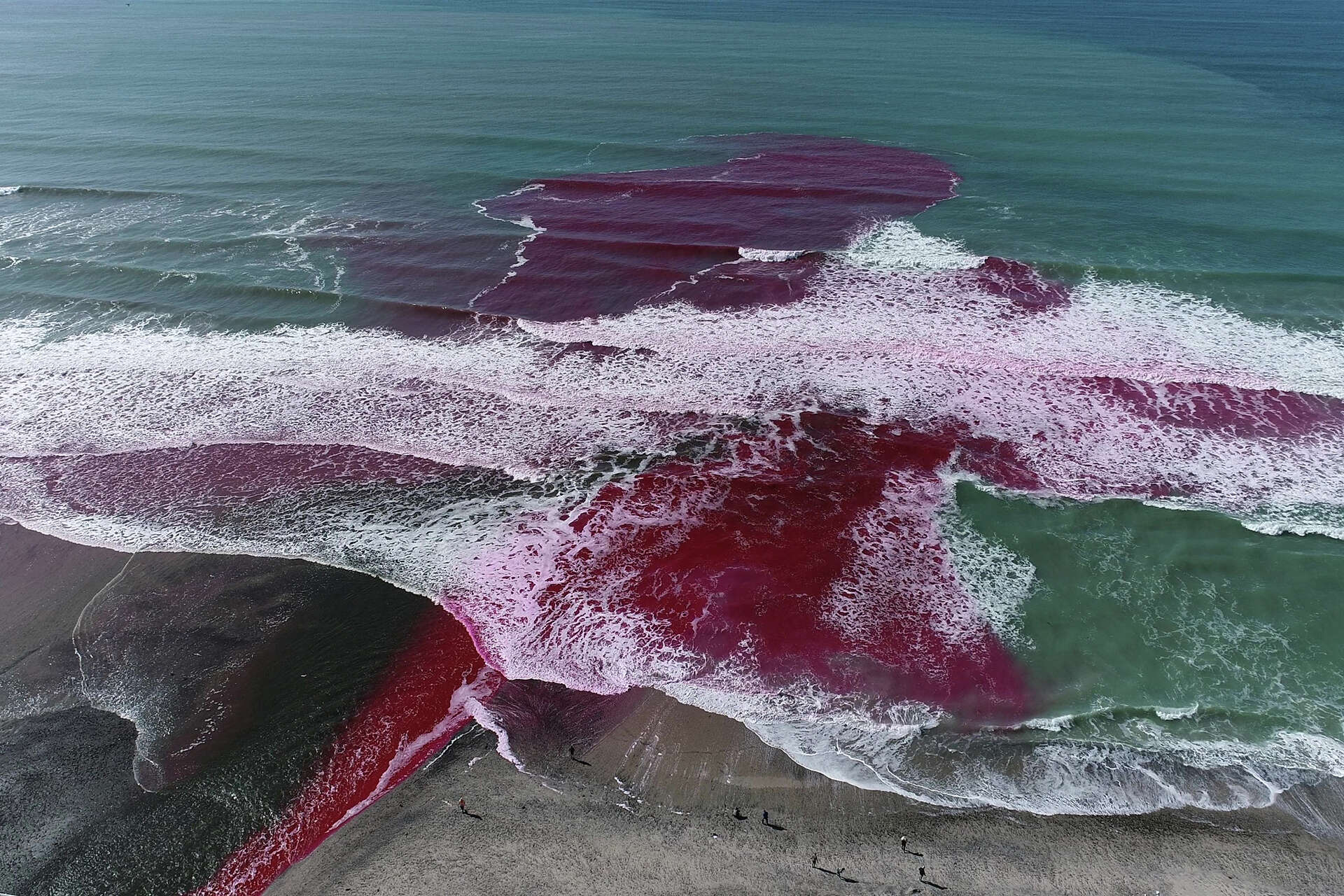 Why the Pacific Ocean turned pink off the Calif. coast