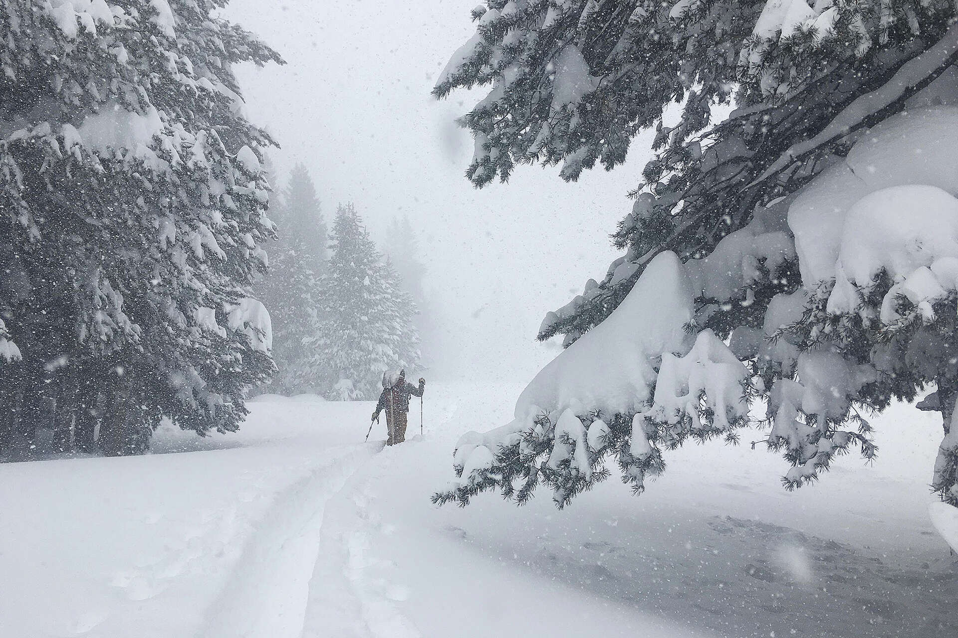 This Yosemite job regularly has people bring up ‘The Shining'