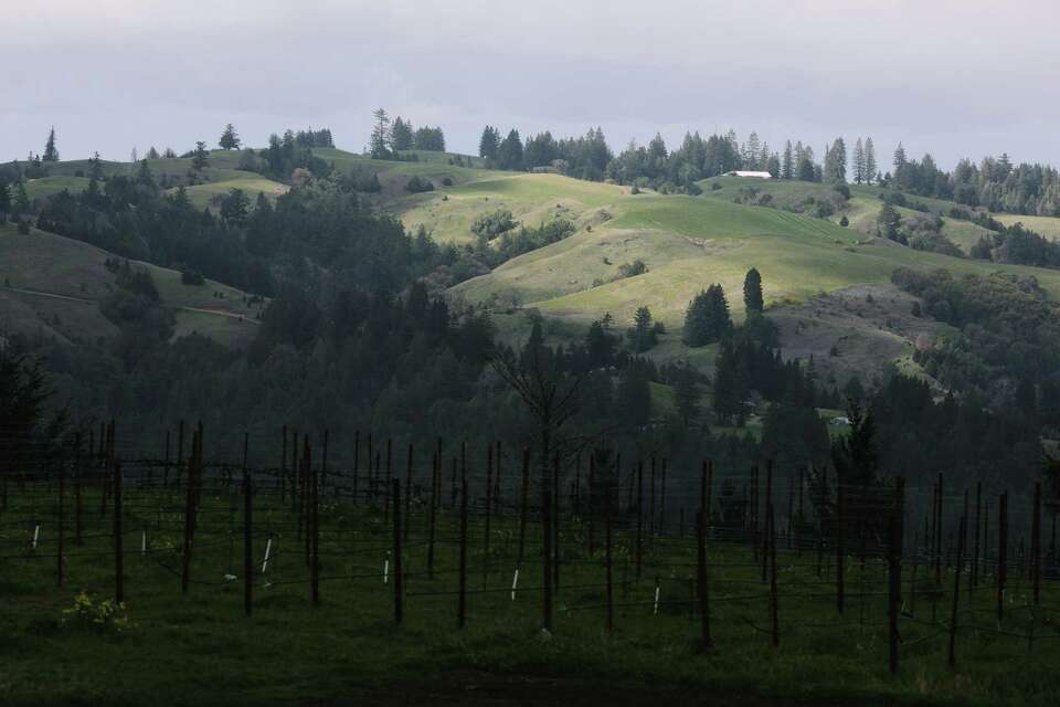 Hirsch Vineyards hired a winemaker who'd never made wine before