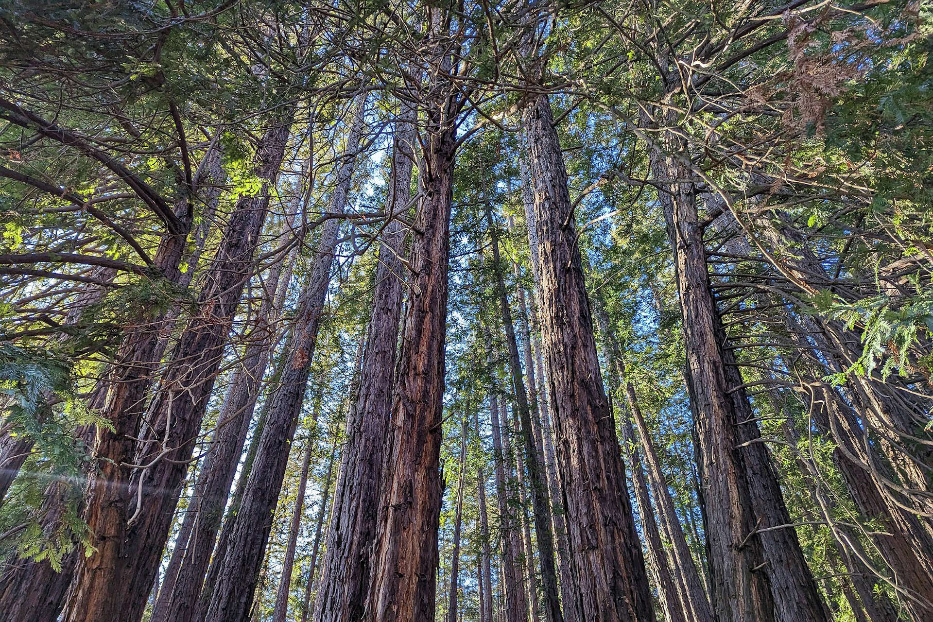 A simple mystery defines this enchanting Bay Area park