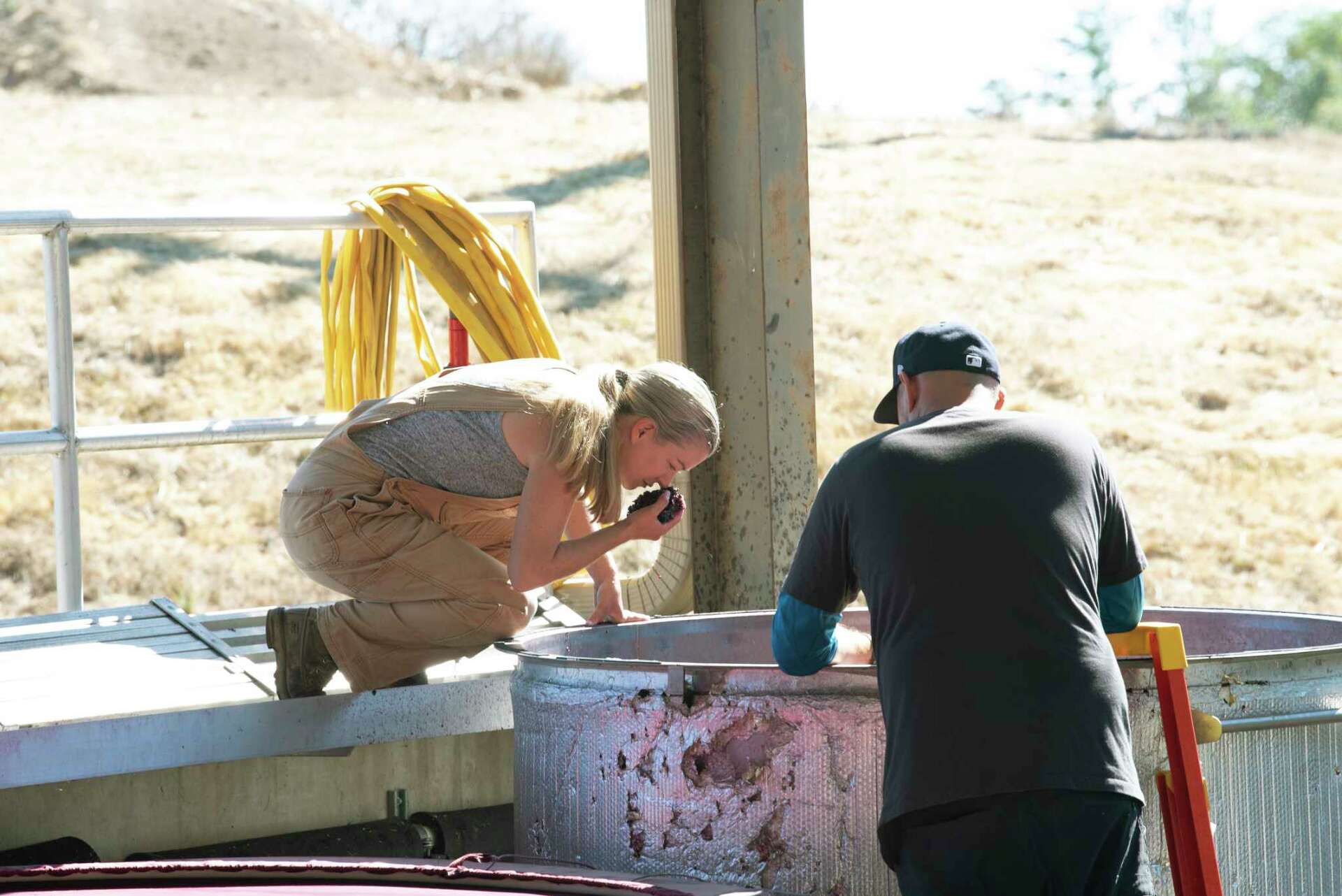 Hirsch Vineyards hired a winemaker who'd never made wine before