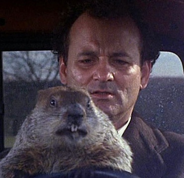 Opinion: The fight for America’s unsung groundhogs