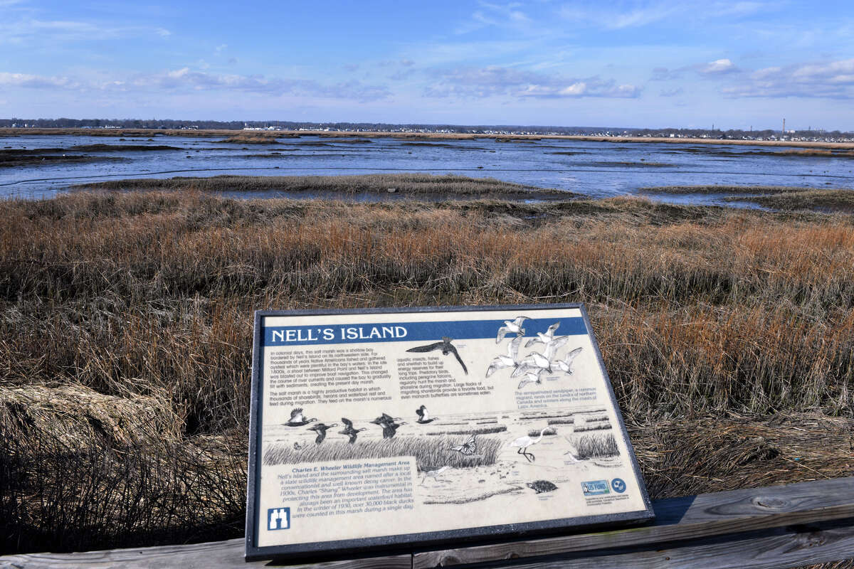 Milford's unique habitats include Charles Island, Gulf Beach