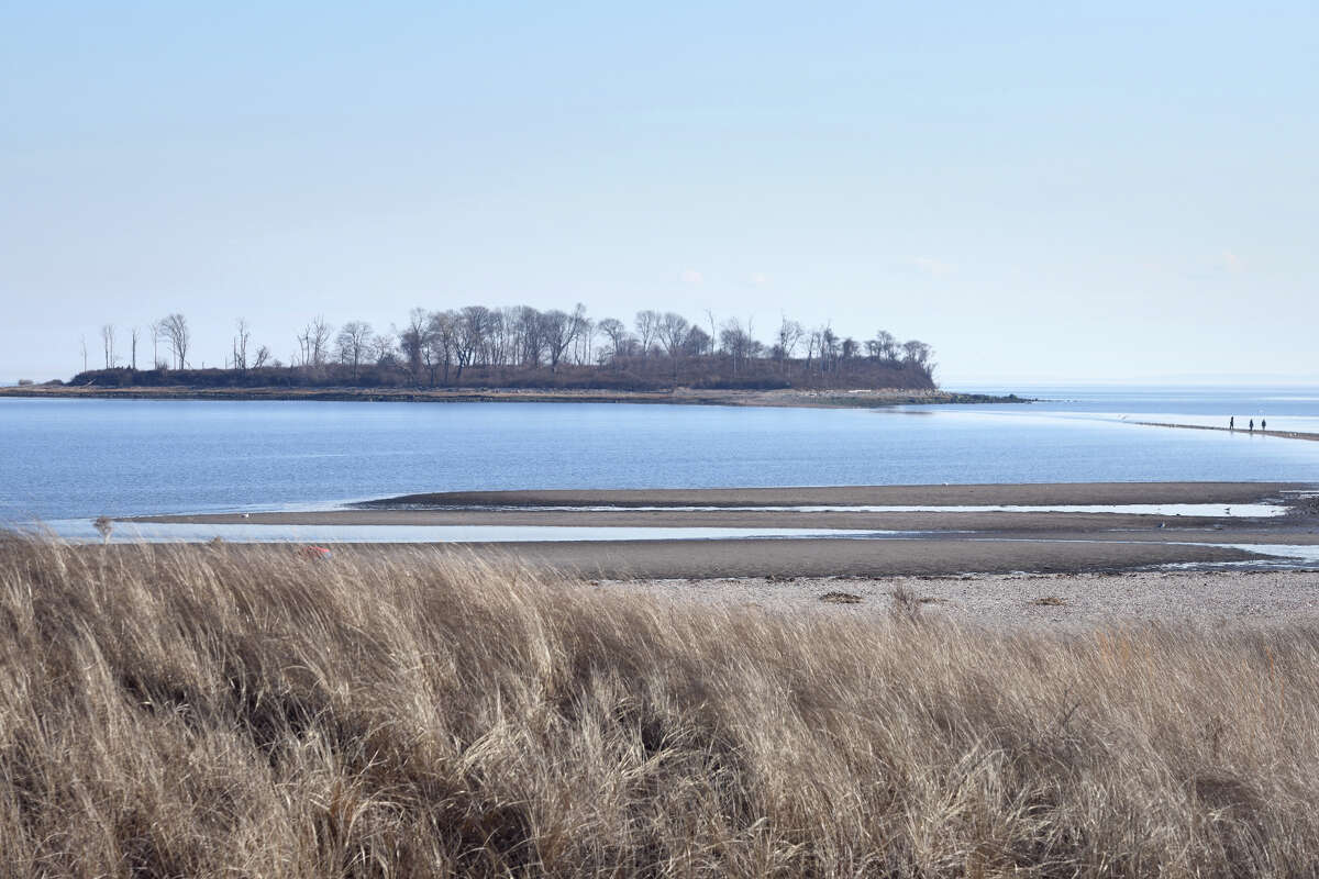 Milford's unique habitats include Charles Island, Gulf Beach