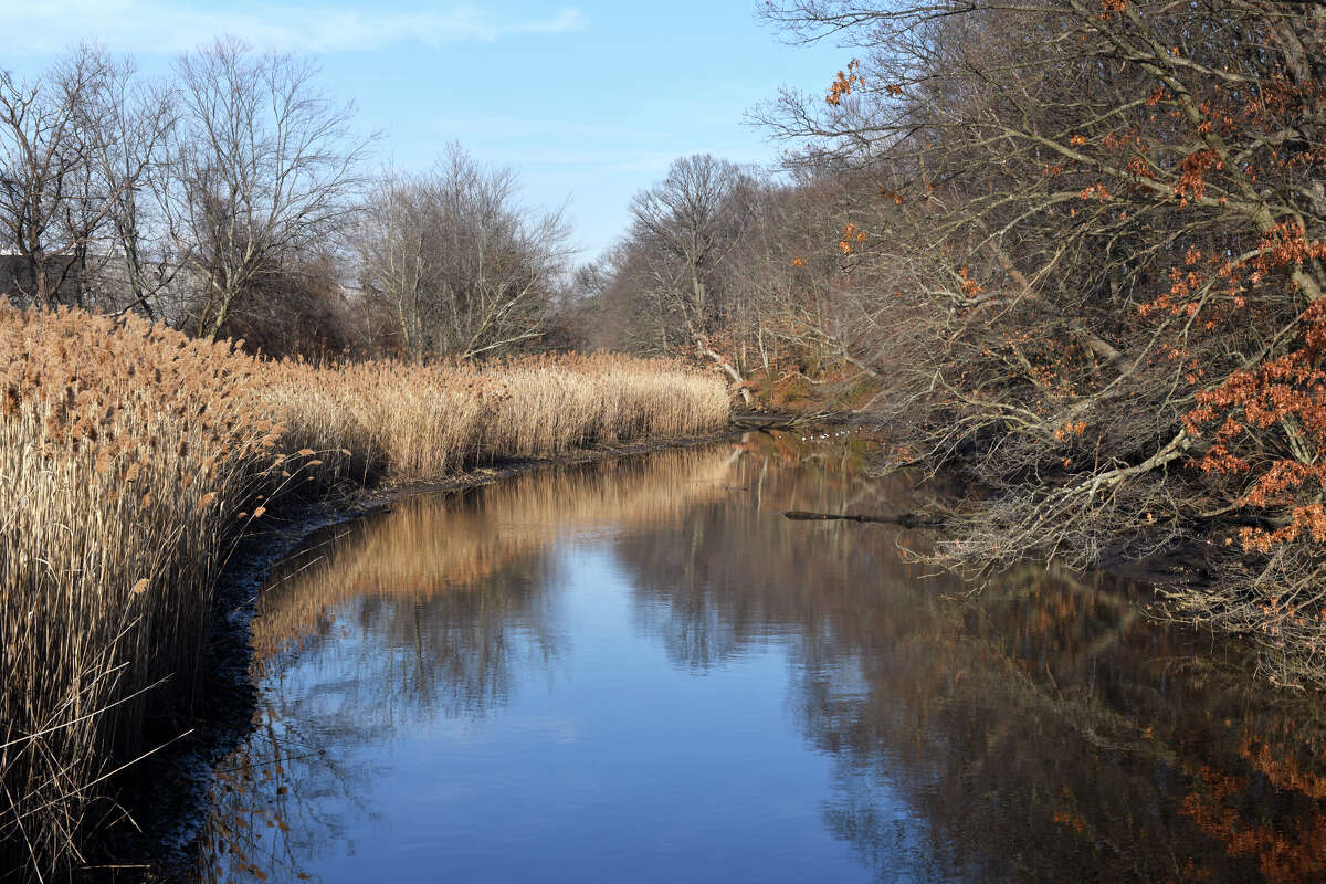 Milford's unique habitats include Charles Island, Gulf Beach