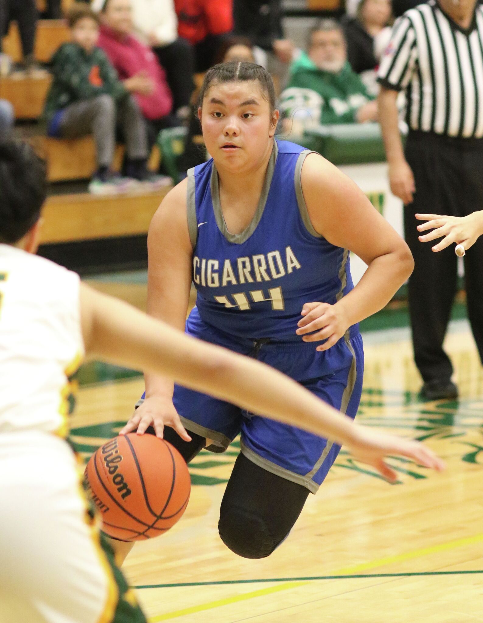 Lady Toros take down Lady Mustangs