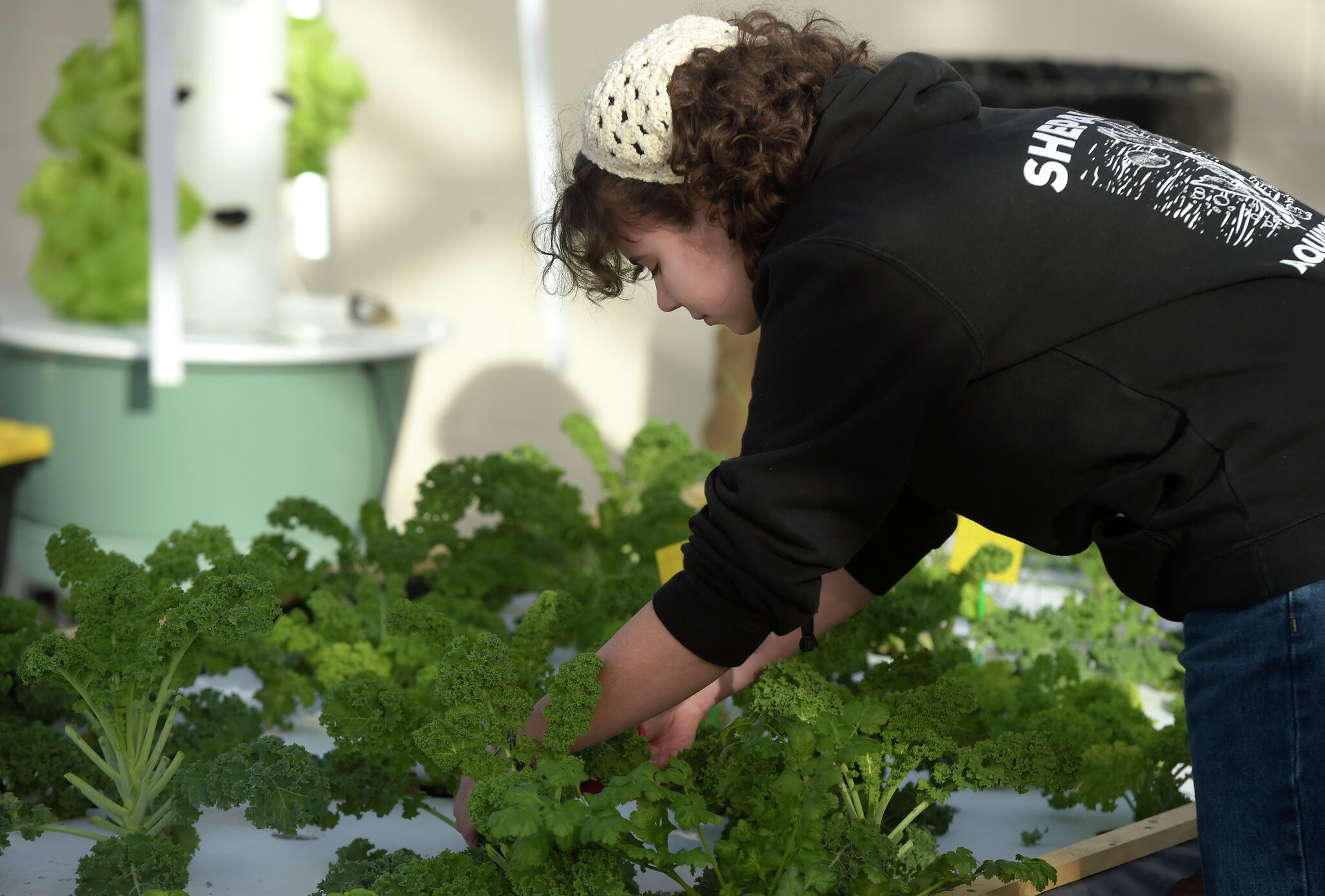 Shepaug Valley students learn to grow crops using fish and water