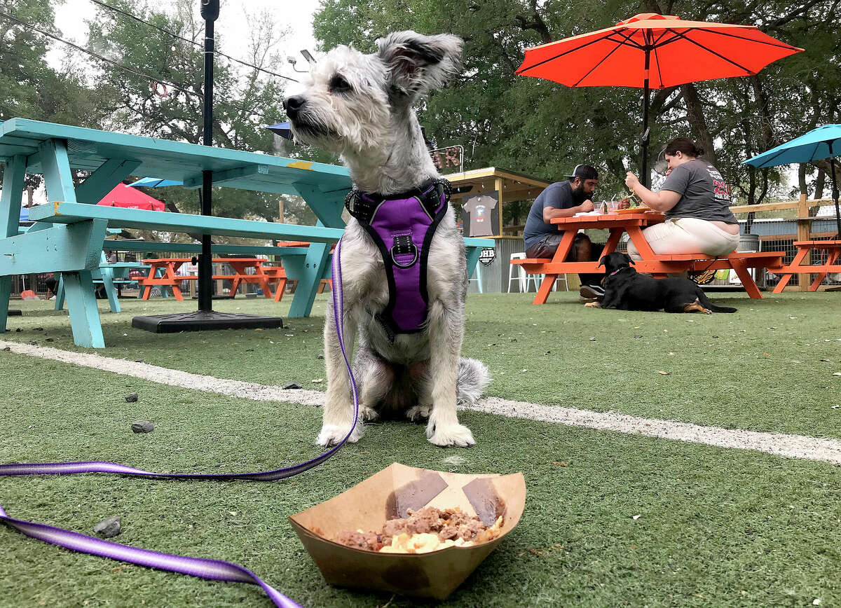 San Antonio's Hops & Hounds isn't closing, owners say