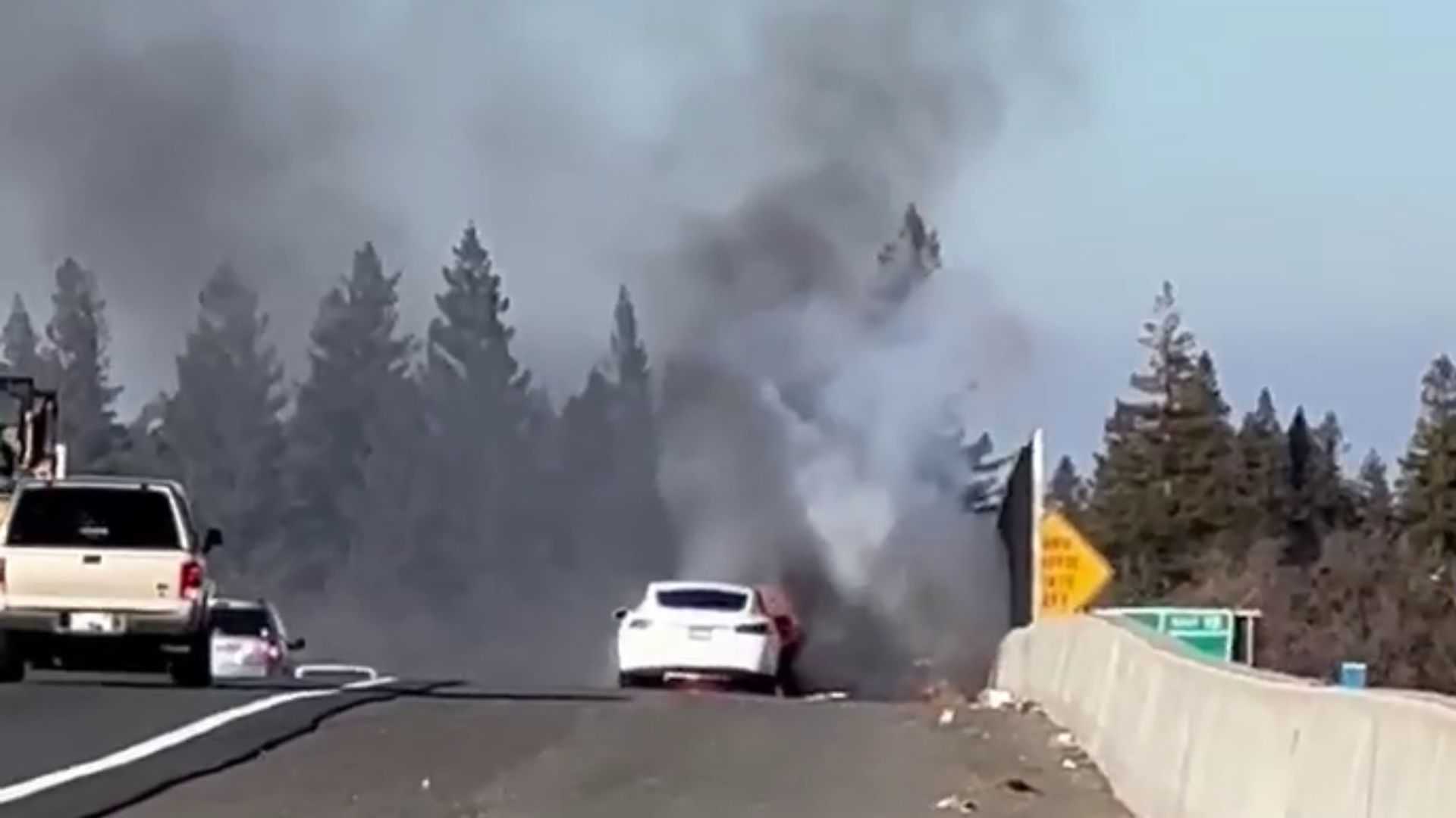 Video: Siblings narrowly escape explosion after Tesla catches fire