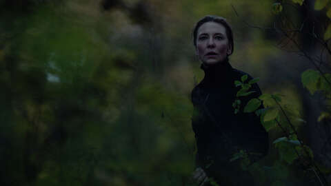 Where to watch the Best Picture nominees