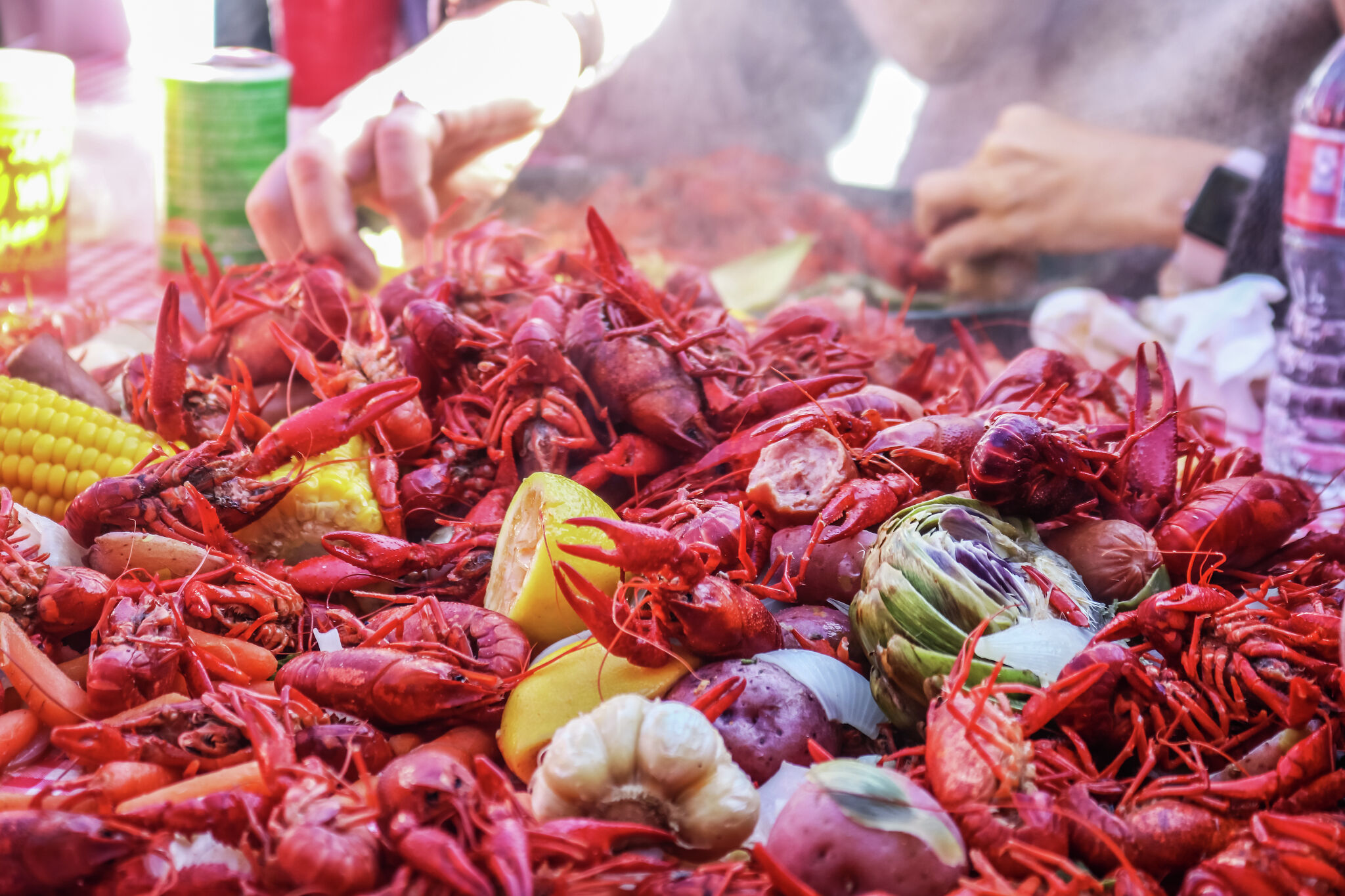 Your complete guide to crawfish season