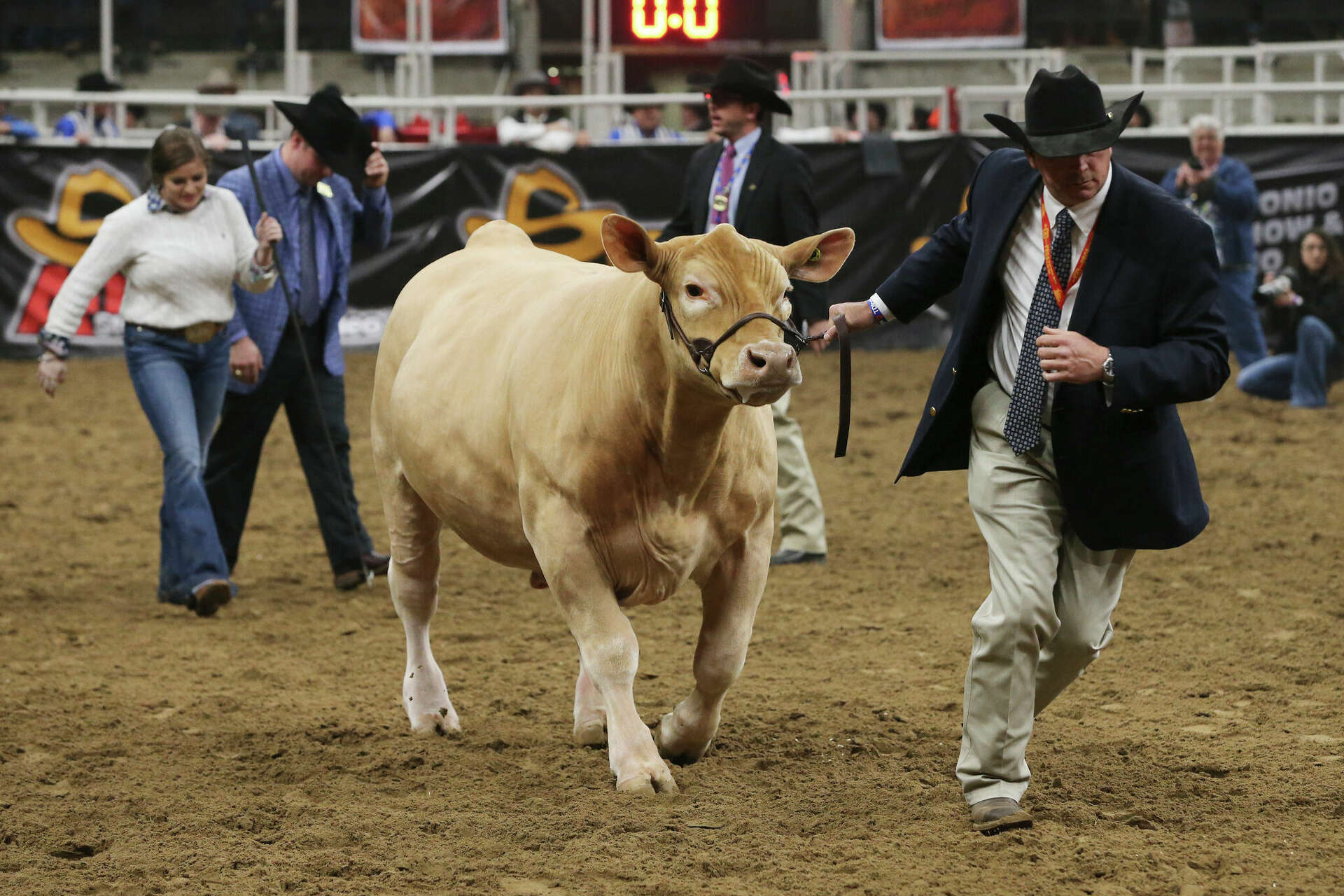 Here's how to livestream the San Antonio Rodeo's stock shows