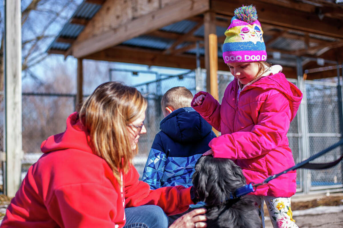 Midland Humane Society rescues over a dozen dogs from Louisiana