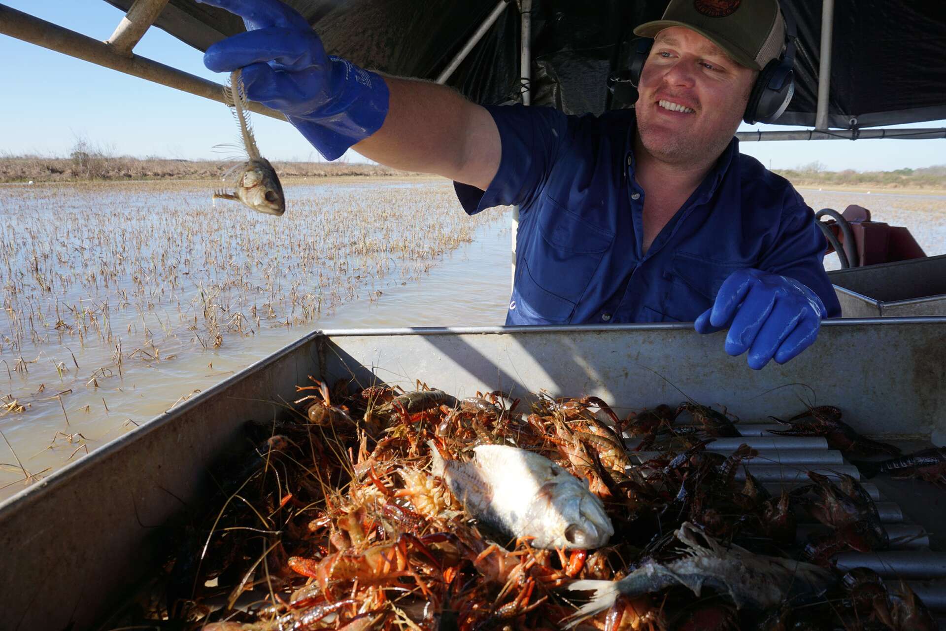 Behind the scenes of Texas crawfish farming