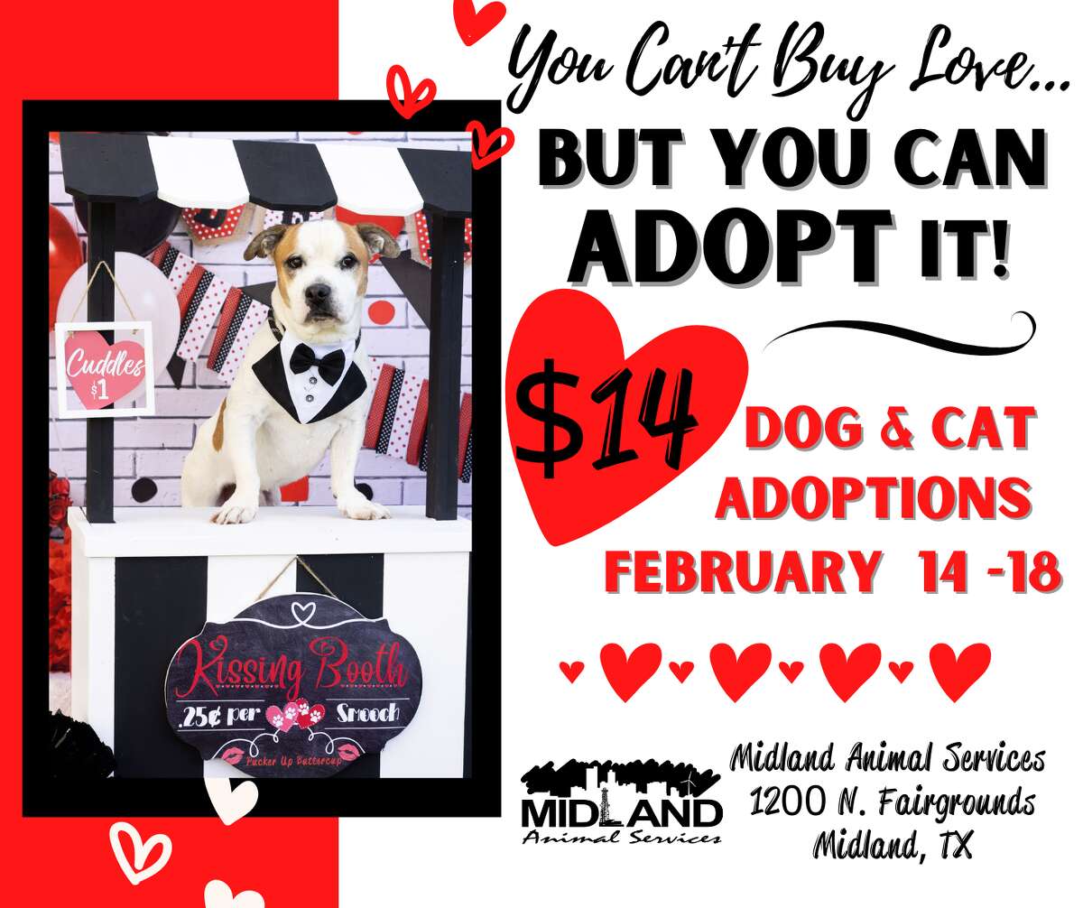 Permian Basin Prayer Breakfast leads Community Roundup