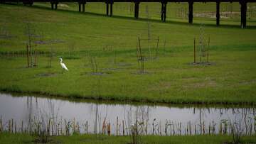 Houston land bridge opens in Memorial Park with Texas' Biggest Picnic