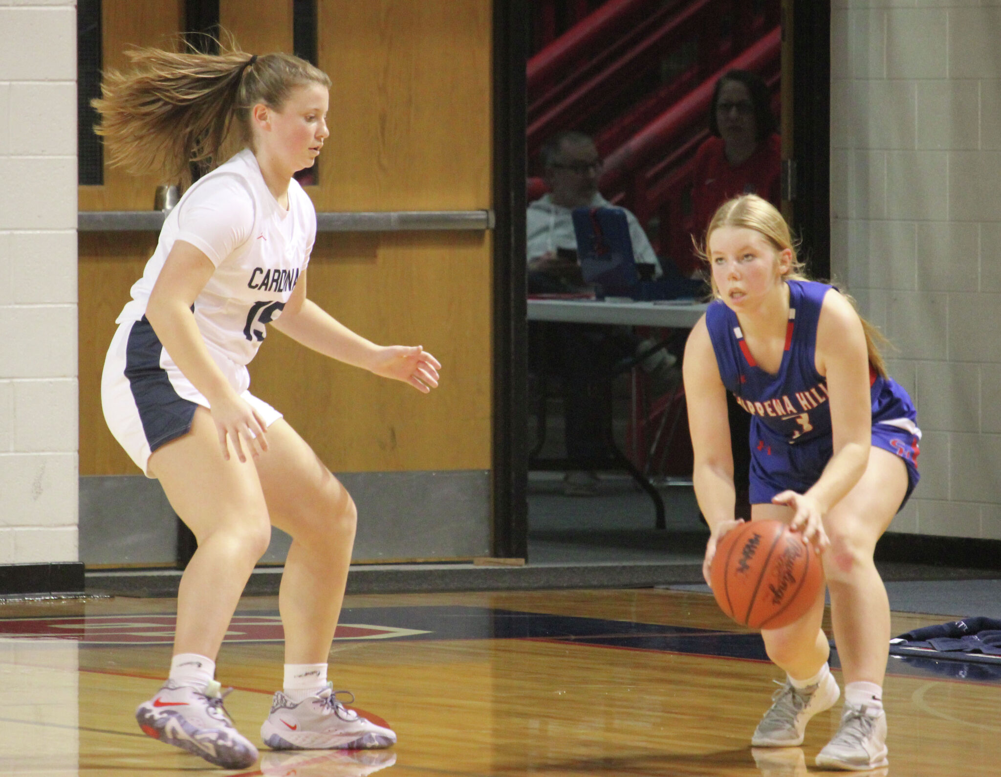 Big Rapids girls clinch CSAA title tie