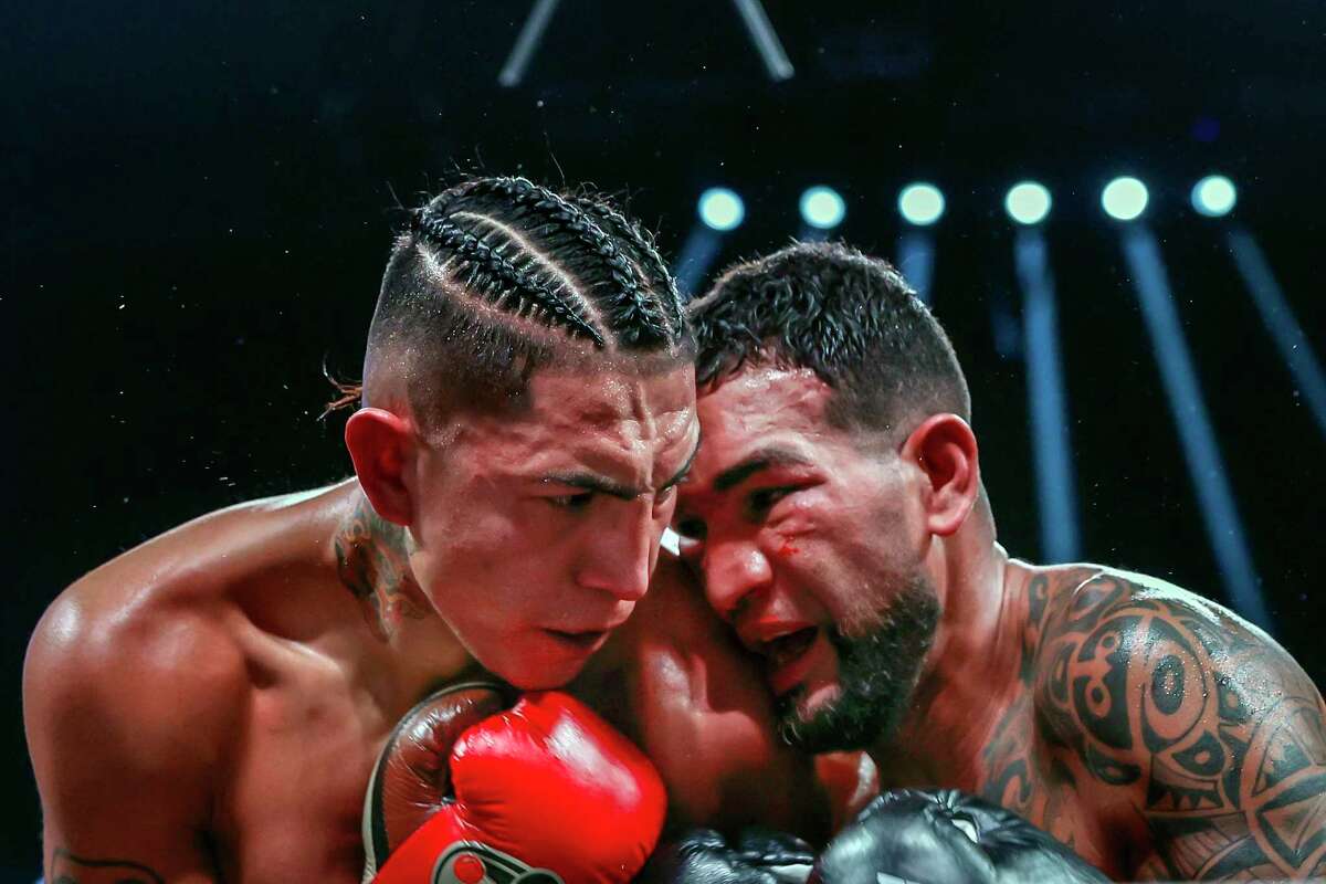 San Antonio Boxer Mario Barrios at Debra Millender blog