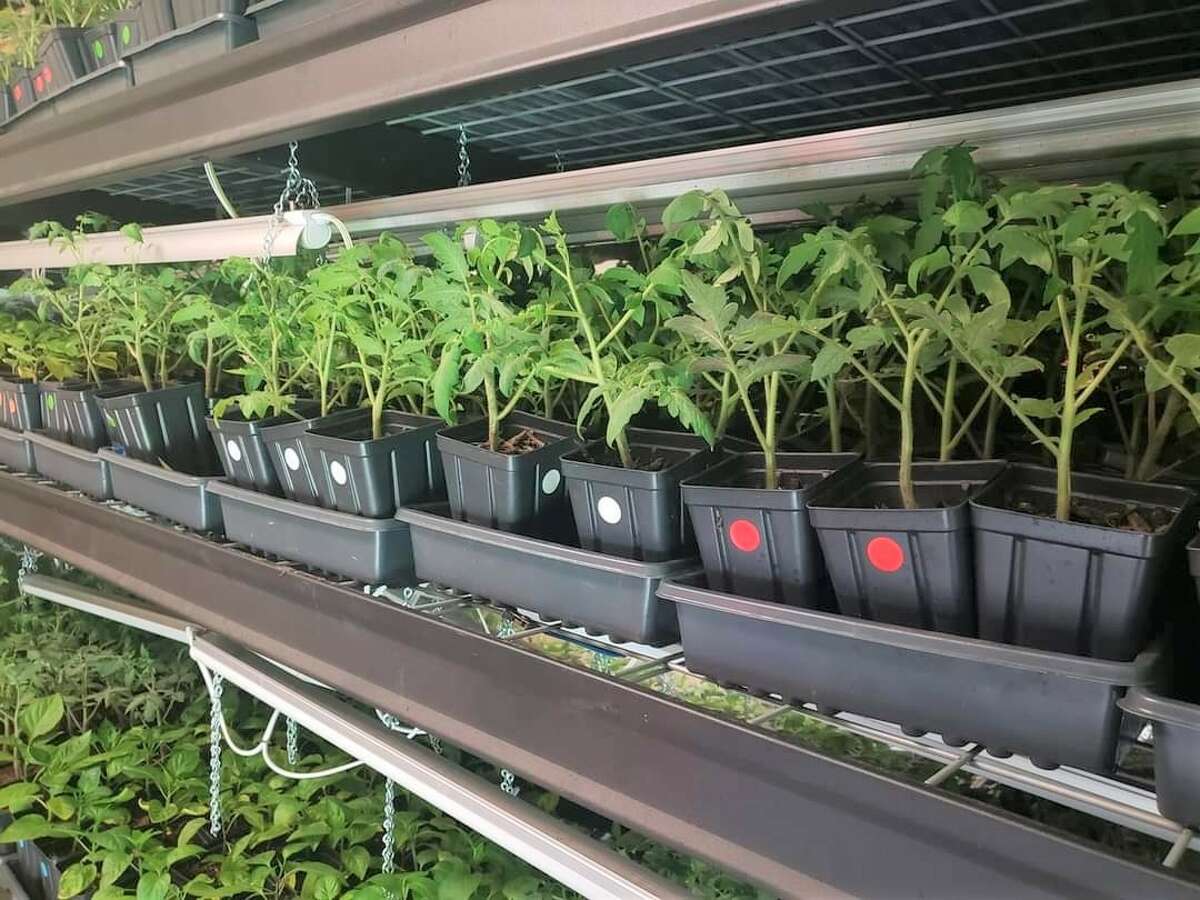 Permian Basin food summit highlights importance of local farming