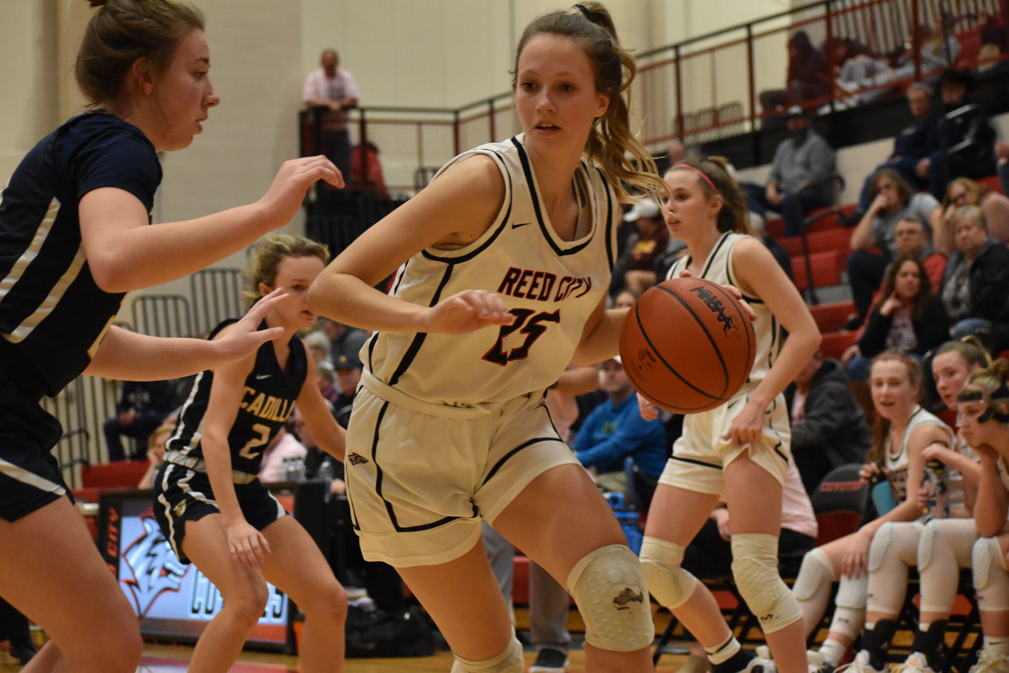 Reed City girls basketball has two named to all-conference team