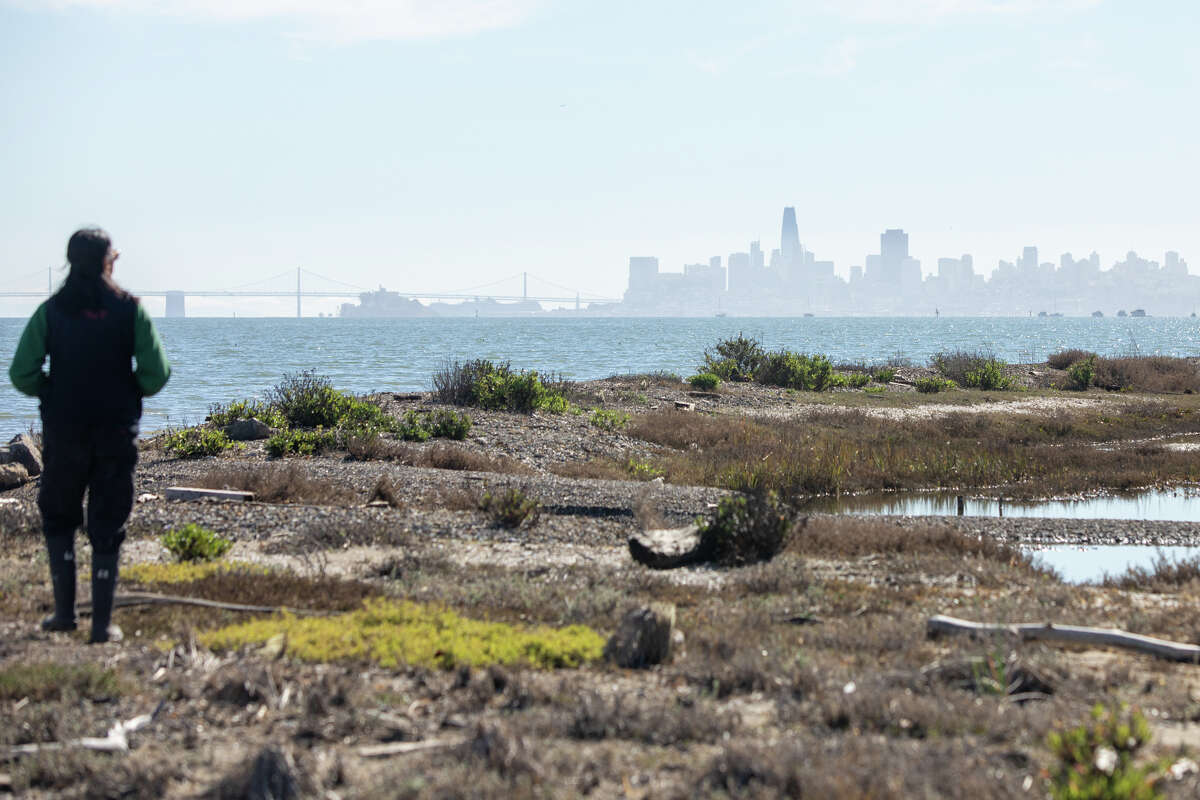 Aramburu Island may be one of the Bay Area's best-kept secrets