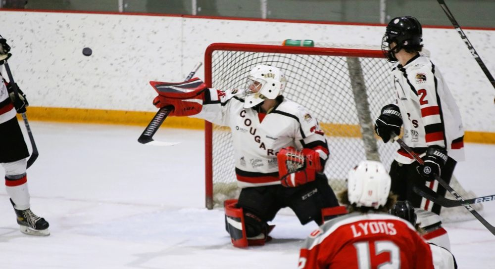 Fighting Illini rally to edge SIU Edwardsville in MACHA Tourney