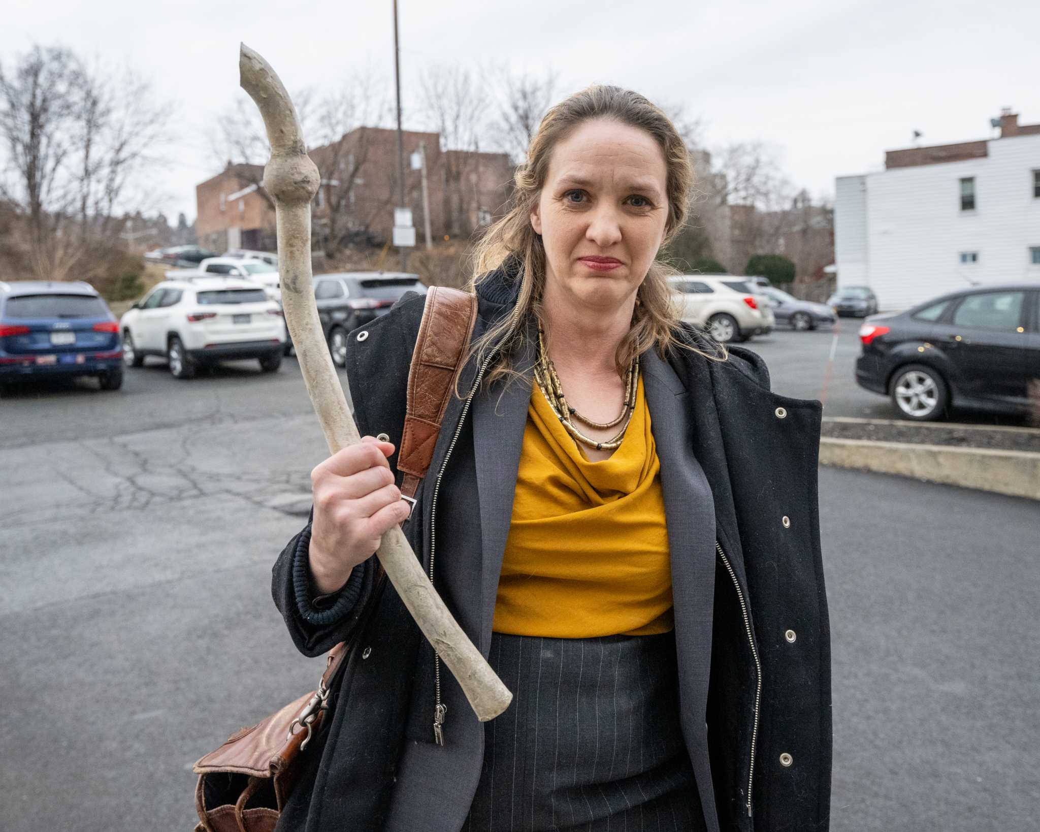 Troy Democratic councilwomen running in primary for top council job