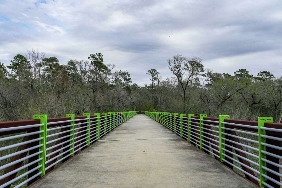 Halls Bayou Reforestation & Greenway Development - Houston and the ...