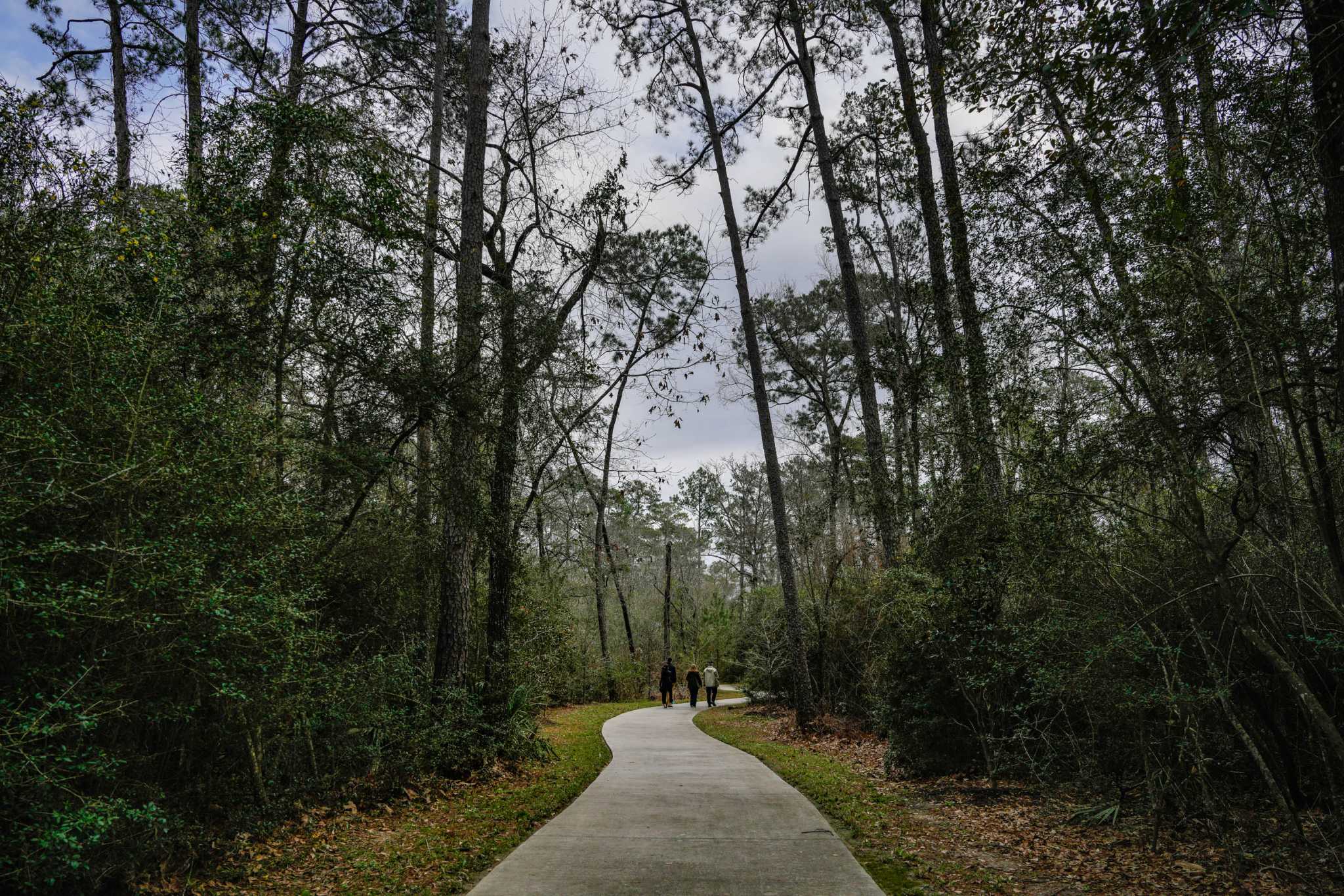 Halls Bayou gets nearly 600 new trees in Houston reforestation effort