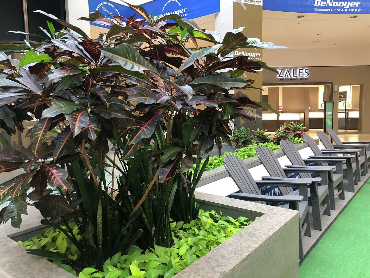 Taking root: Local interior landscape company brings the outside in