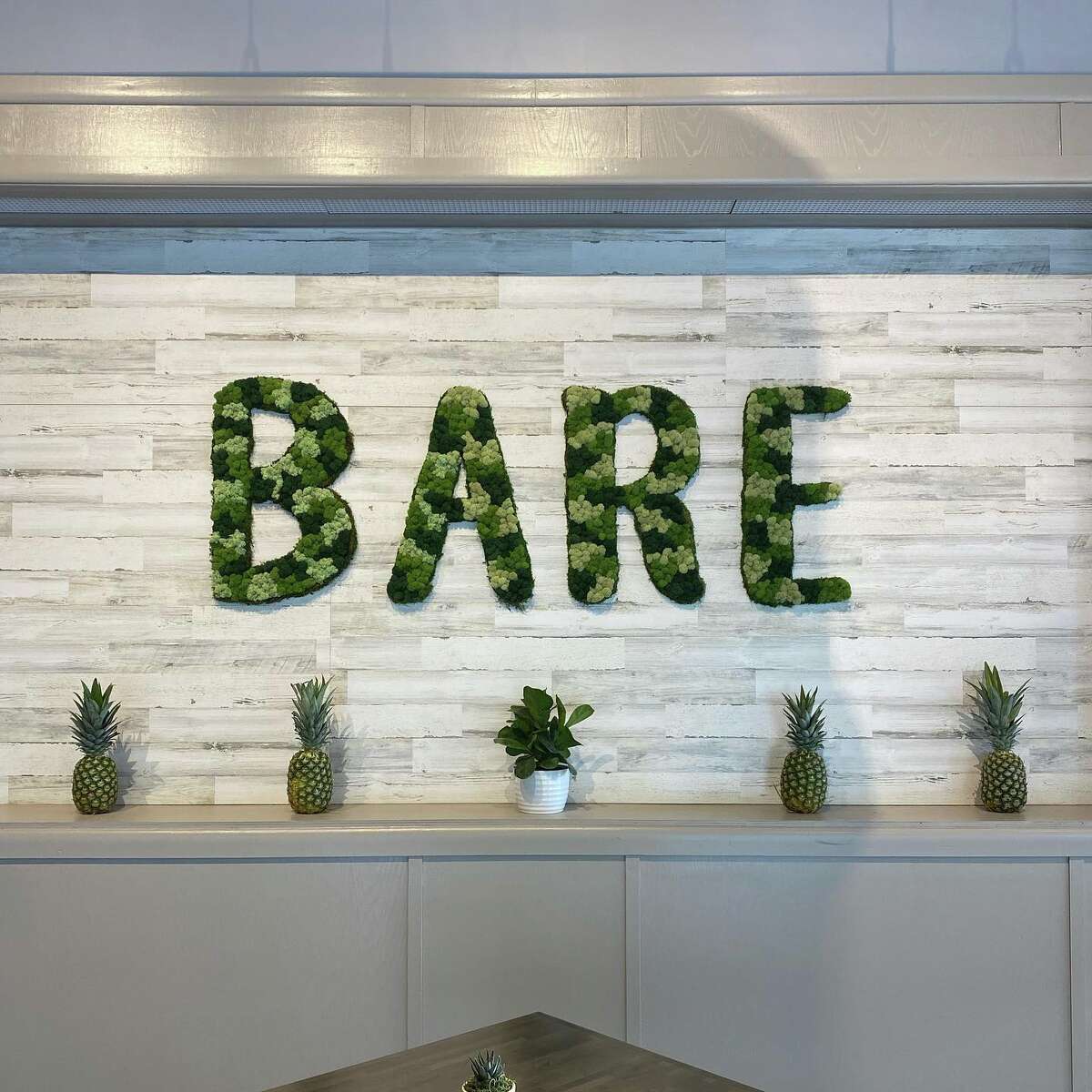 Taking root: Local interior landscape company brings the outside in