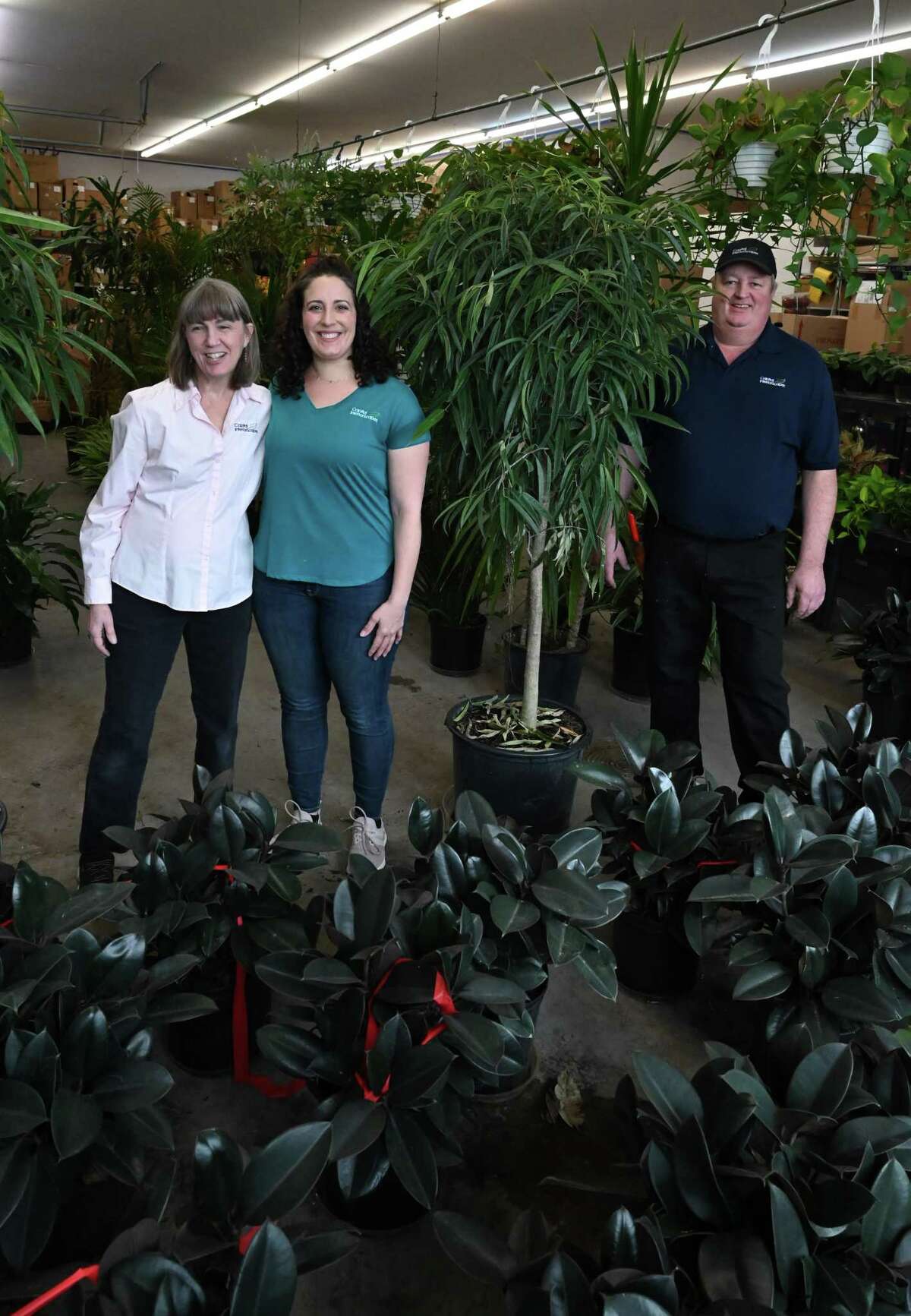 Taking root: Local interior landscape company brings the outside in