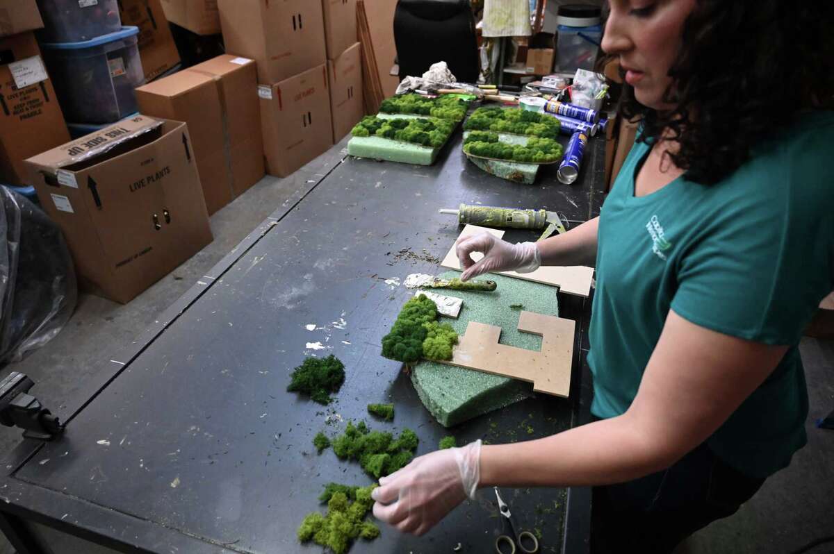 Taking root: Local interior landscape company brings the outside in