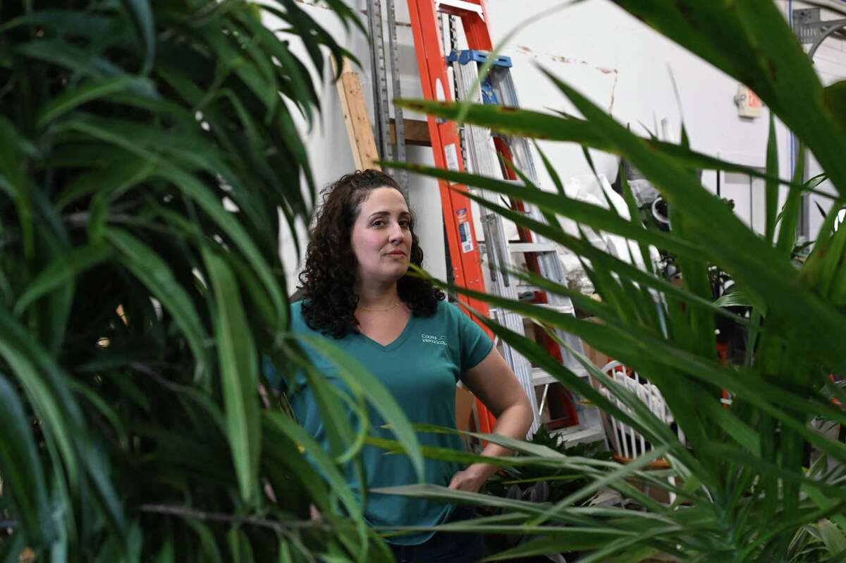 Taking root: Local interior landscape company brings the outside in