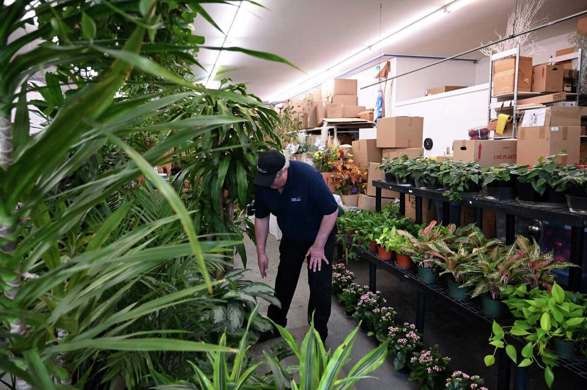 Taking root: Local interior landscape company brings the outside in