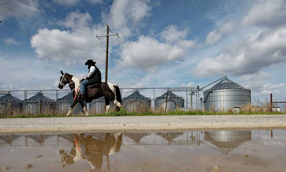 Houston rodeo trail ride: Riders reach downtown Houston rodeo parade
