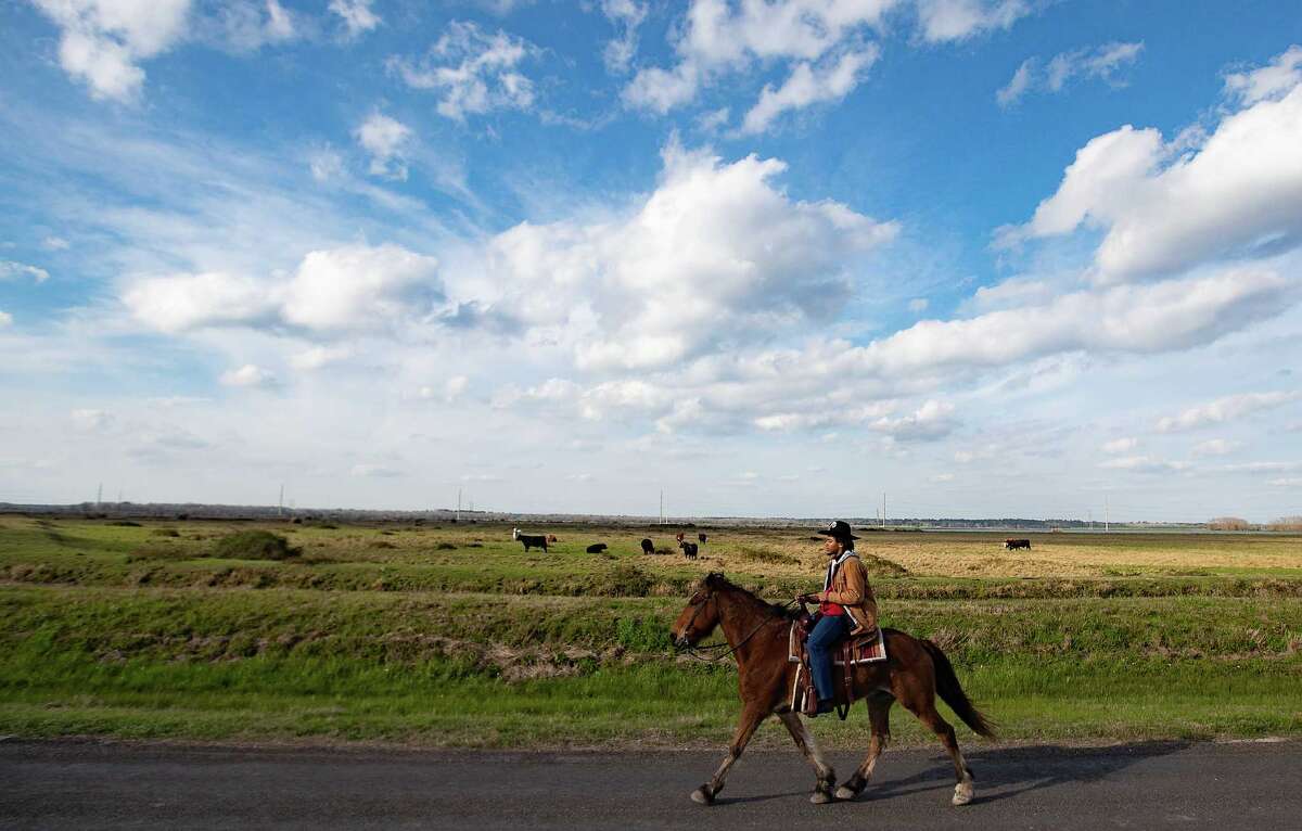 Houston rodeo trail ride: Riders reach downtown Houston rodeo parade