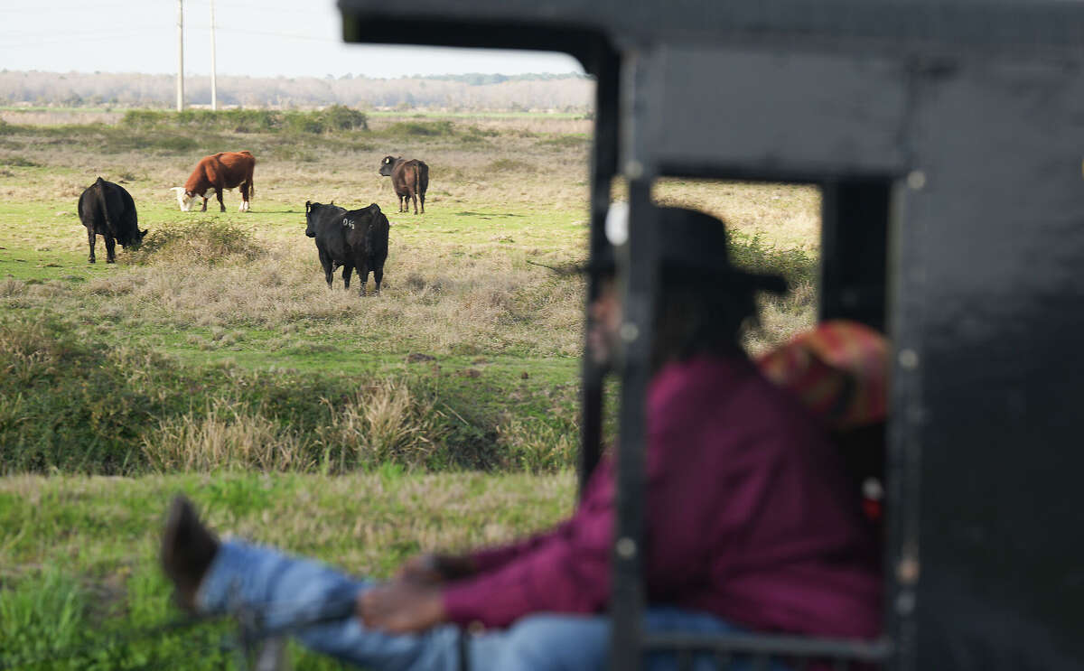 Houston rodeo trail ride: Riders reach downtown Houston rodeo parade