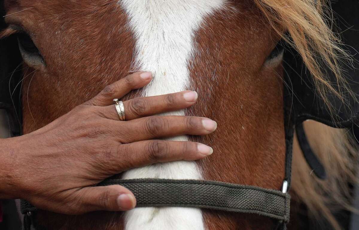 Houston rodeo trail ride: Riders reach downtown Houston rodeo parade