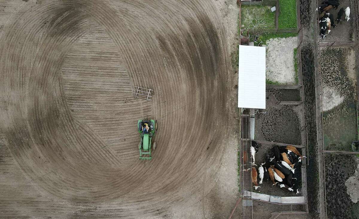 Houston-area rodeo champion teaches kids how to ride bulls