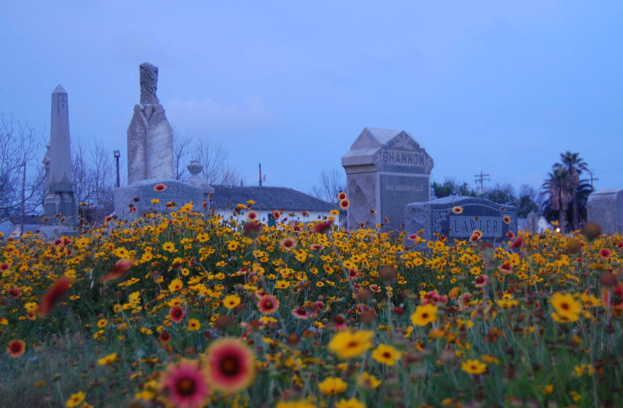 Texas' highest-rated haunted tours on TripAdvisor, including Galveston