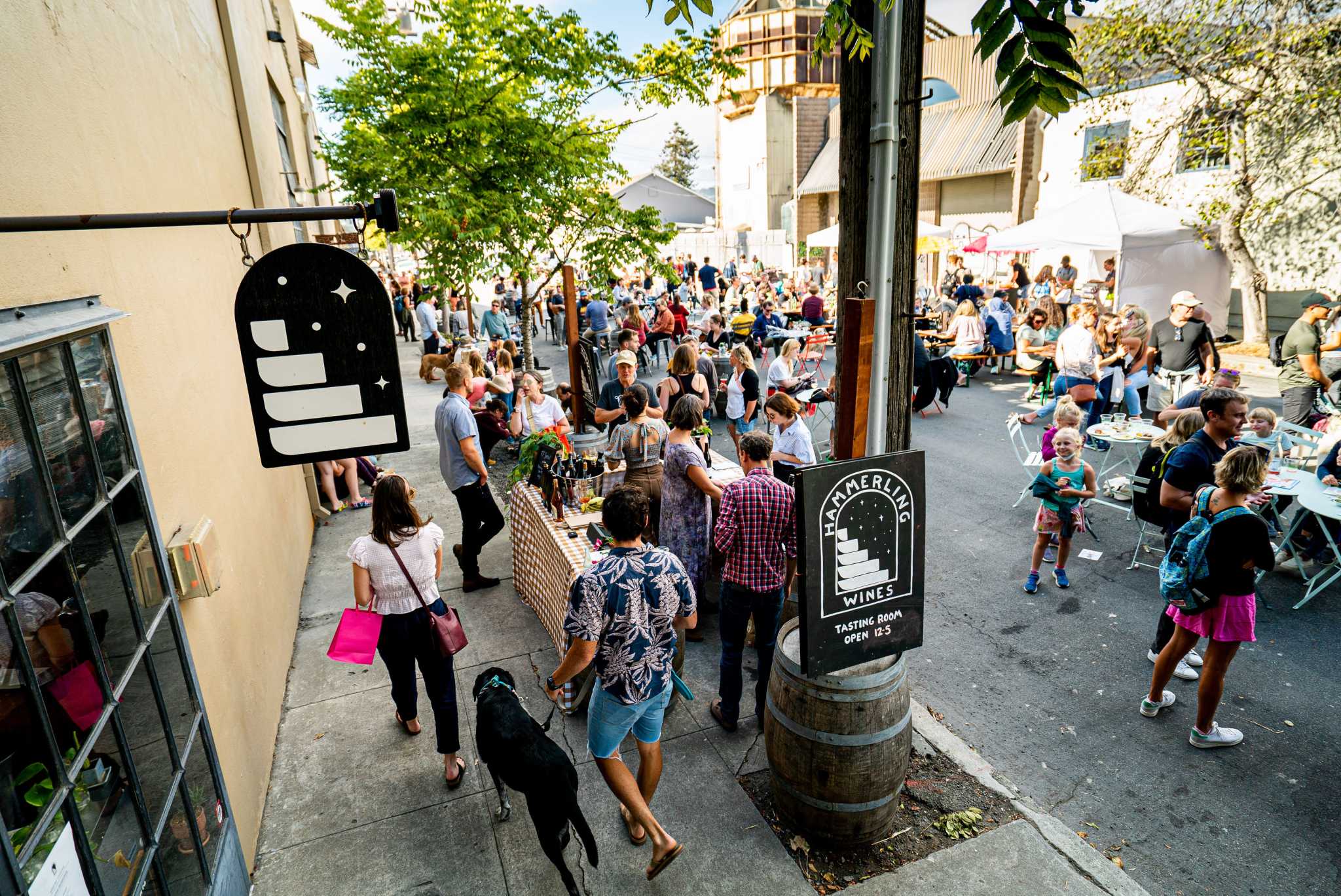 Hammerling Wines is expanding. Windchaser claims it was forced out