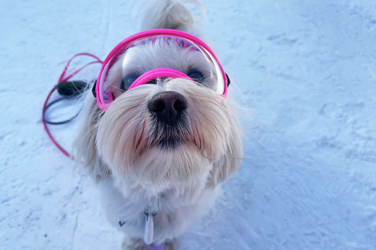 Why locals love this 50-year-old Palisades Tahoe bar